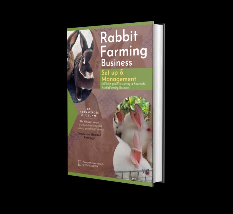 Rabbit Farming eBook. Title: General Rabbit Farming Business For All by ...